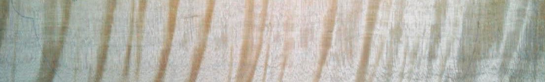 Bosnian flamed maple – Bosnian Tonewood